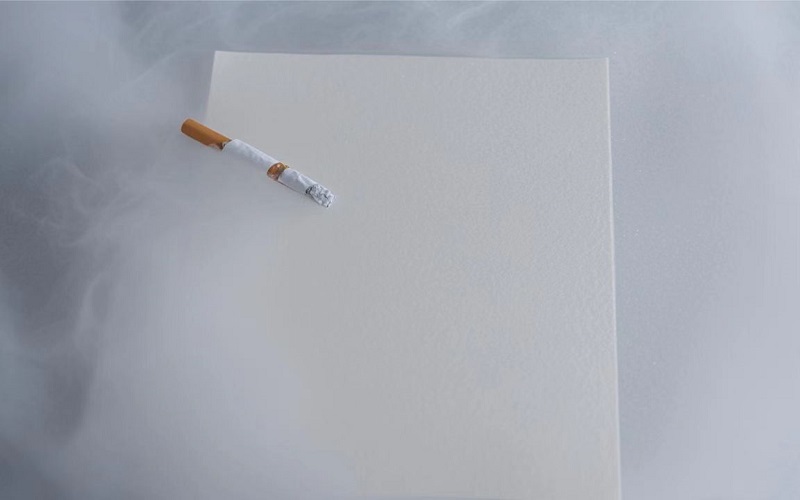 Analysis of Antibacterial and Deodorizing Diatomite Sheets for Smoke ...